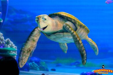 【総まとめ】『プライオリティパス（PP）』を最大限活用！取る順番・ルールや対象アトラクション、価格など総まとめ |ディズニーブログ【TOONDAYS】